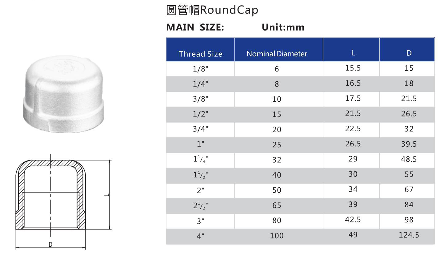 Stainless Steel Female NPT BSP Round Cap from China manufacturer - Sansun